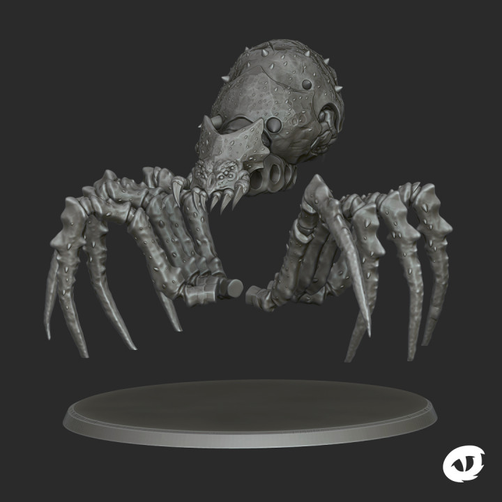 3D Printable Giant Cave Spider by Insight Miniatures