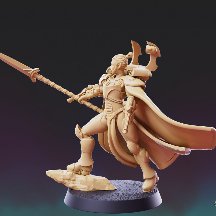 3D Printable Space Elf Vanquisher Male Leader by PSMiniatures