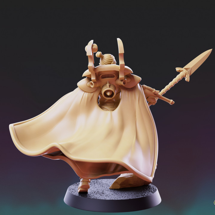 3D Printable Space Elf Vanquisher Male Leader by PSMiniatures
