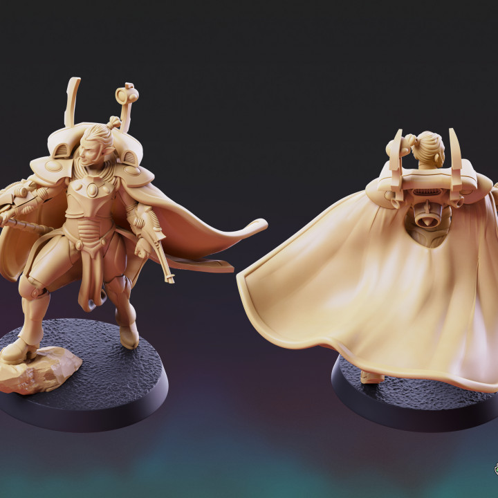 3D Printable Space Elf Vanquisher Male Leader by PSMiniatures