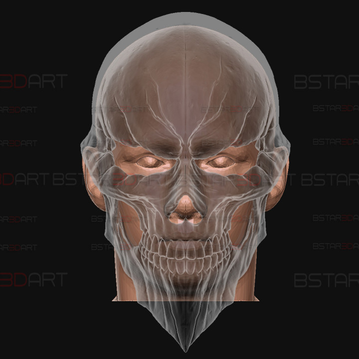 3D Printable Skull Devil Mask High Quality by 3DpropsDesigns