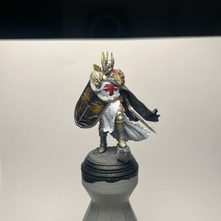 3D Print of Enlightened Paladin of Justice - Caedes by aronconrad