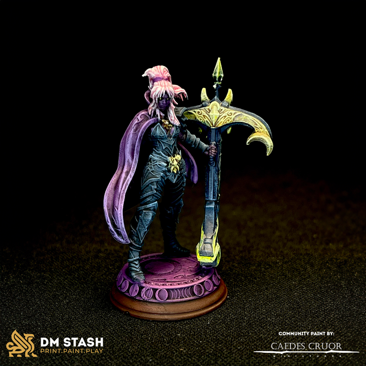 3D Printable Drow Moonlight Ranger - Exrin Nvata by DM Stash