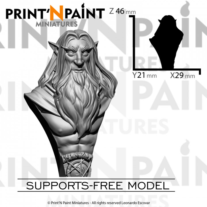 3D Printable Elf Mage Bust by Leonardo Escovar