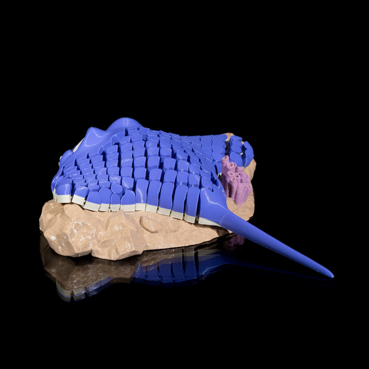 3D Printable Ray, the Manta Ray by Stlflix