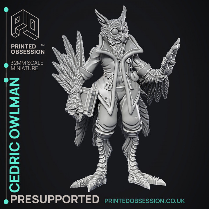 3D Printable Owlman - Frindly NPC - Cryptids of the Darkwoods ...