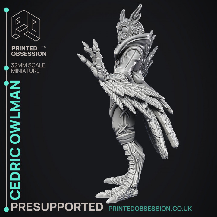 3D Printable Owlman - Frindly NPC - Cryptids of the Darkwoods ...