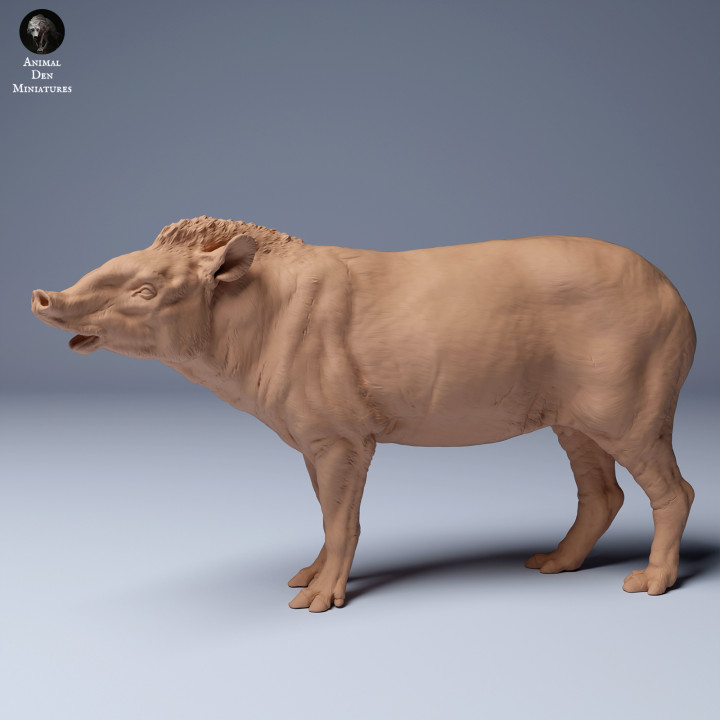 3D Printable Brazilian tapir (Tapirus terrestris) Male by Animal Den ...
