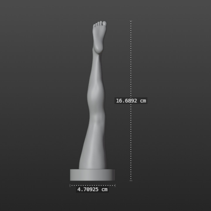 3D Printable "THE LEG" 01 by Diego