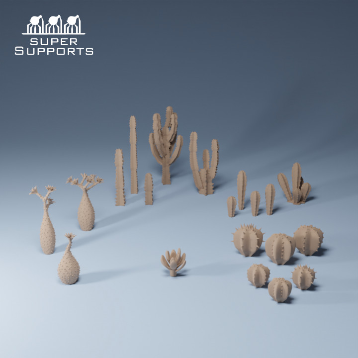3D Printable Desert plants group 2 by The King of Bits