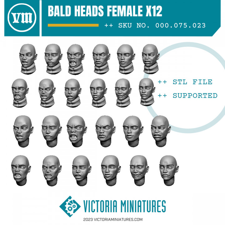 3D Printable Bald Heads Female x12 by Victoria