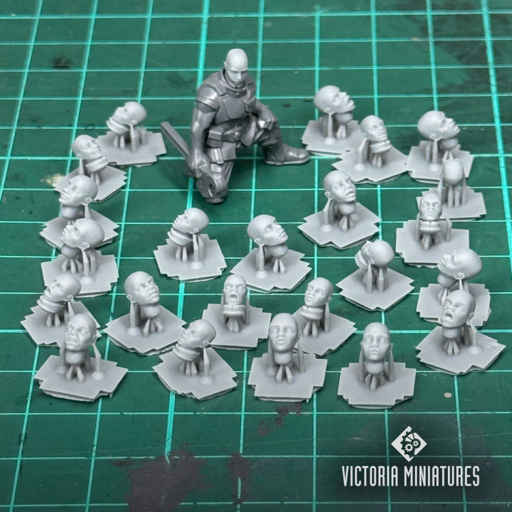 3D Printable Bald Heads Female x12 by Victoria
