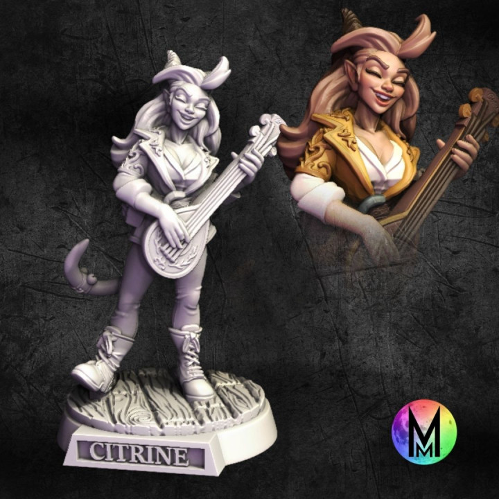 3D Printable Female Tiefling Set - Bard, Fighter / Barbarian, Rogue, Monk, Druid, Sorcerer (Set ...