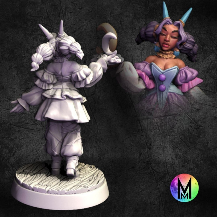 3D Printable Female Tiefling Set - Bard, Fighter / Barbarian, Rogue, Monk, Druid, Sorcerer (Set ...