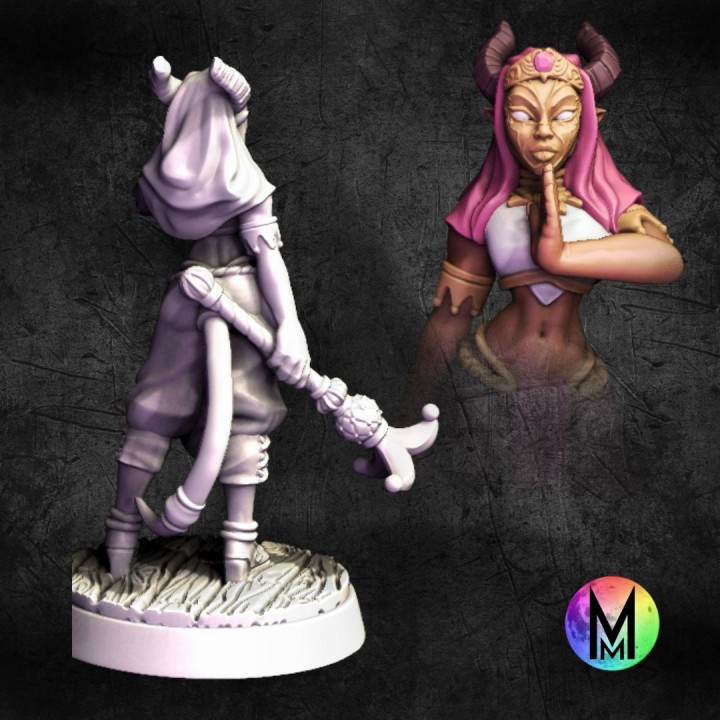 3D Printable Female Tiefling Set - Bard, Fighter / Barbarian, Rogue, Monk, Druid, Sorcerer (Set ...
