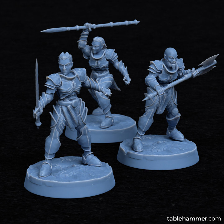 3D Printable Hellgaters (fantasy infantry guard) by Tablehammer