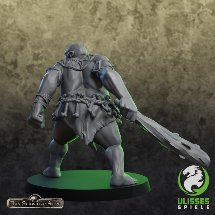 3D Printable The Dark Eye - Ogre assault / DSA - Im Ogersturm by ...