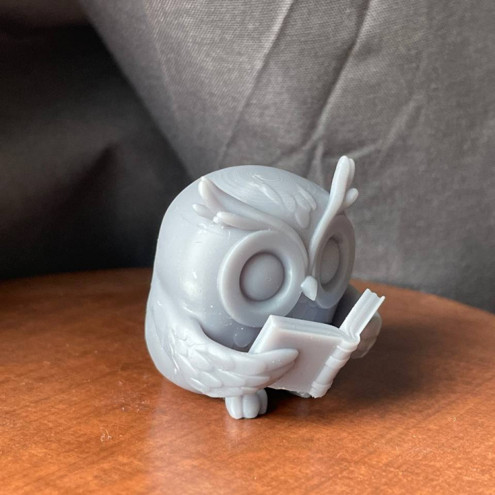 3D Printable CUTE READING OWL by Grass Hopper