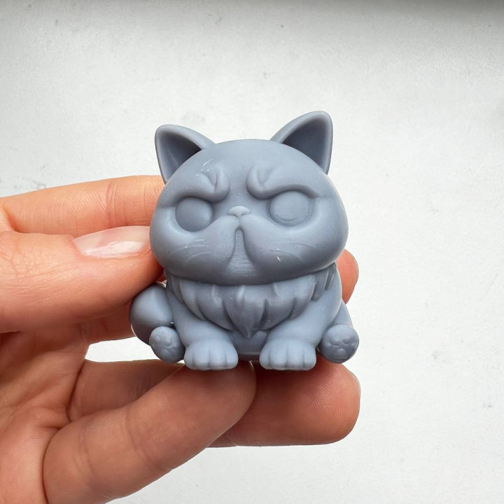 3D Printable GRUMPY CAT #2 by Grass Hopper