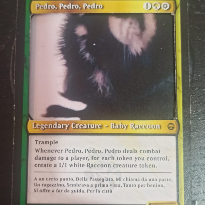 3D Printable MTG PROXY COMMANDER CARD PEDRO PEDRO PEDRO (MAGIC PEDRO ...