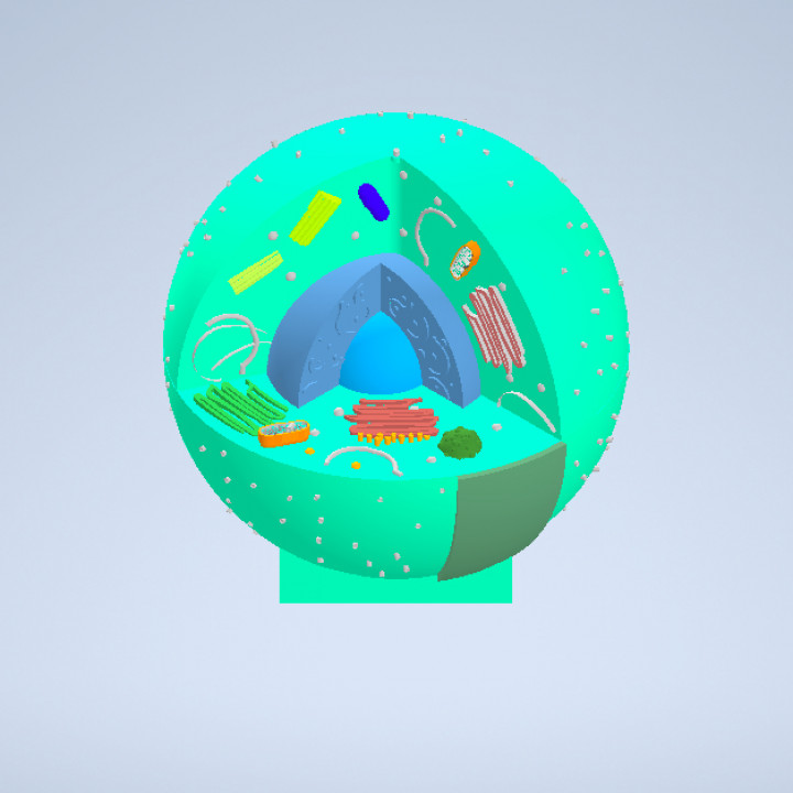 3D Printable Single-Color Cell Model by Elian Briceno