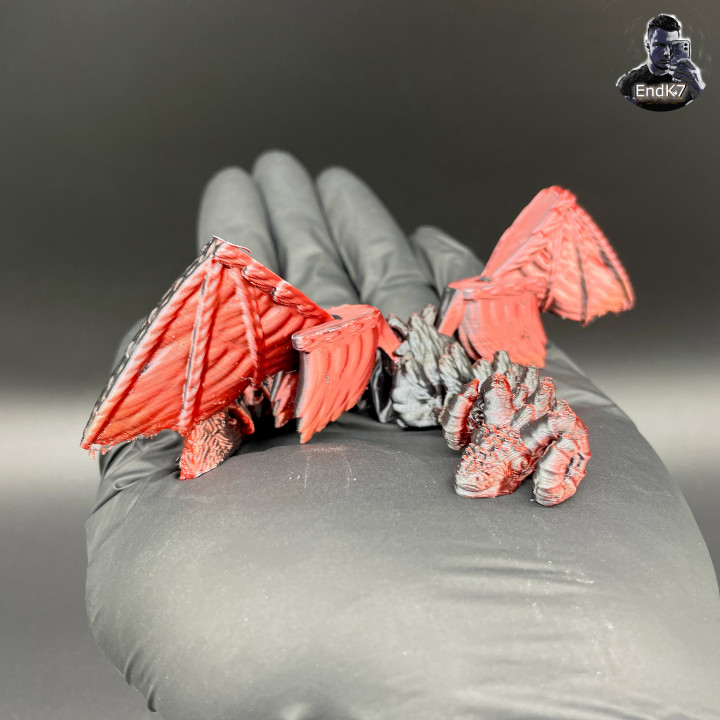3D Printable Amphiptere Dragon - winged Serpent by EndK7