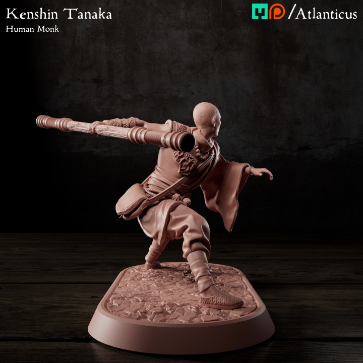 3D Printable Male Human Monk - Kenshin Tanaka - Staff Squarestance by ...