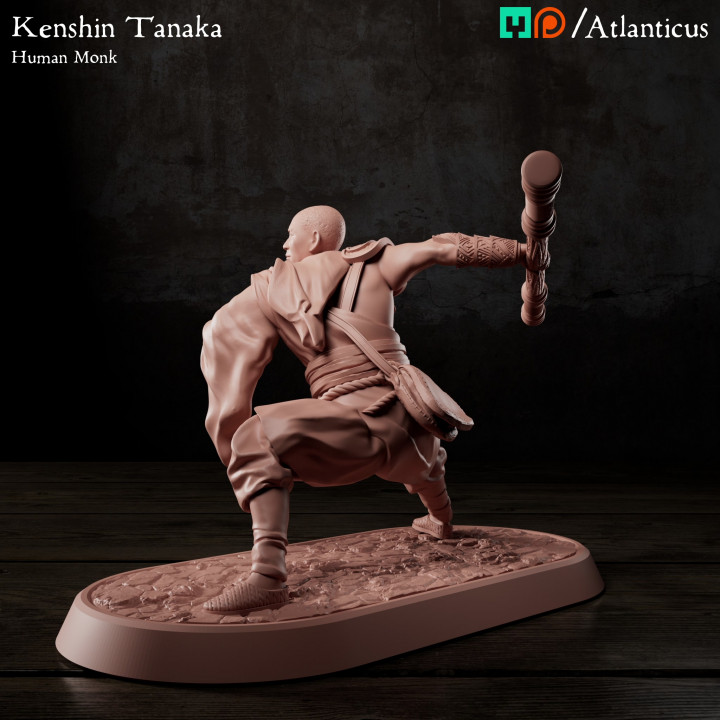 3D Printable Male Human Monk - Kenshin Tanaka - Staff Squarestance by ...