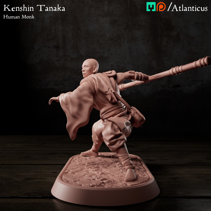 3D Printable Male Human Monk - Kenshin Tanaka - Staff Squarestance by ...