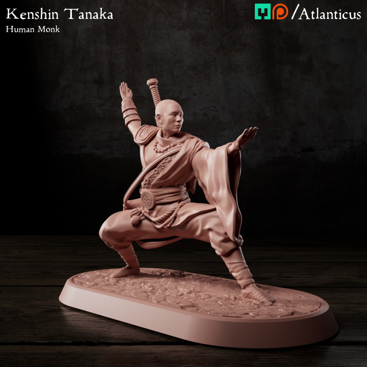 3D Printable Male Human Monk - Kenshin Tanaka - Unarmed Backstance by ...