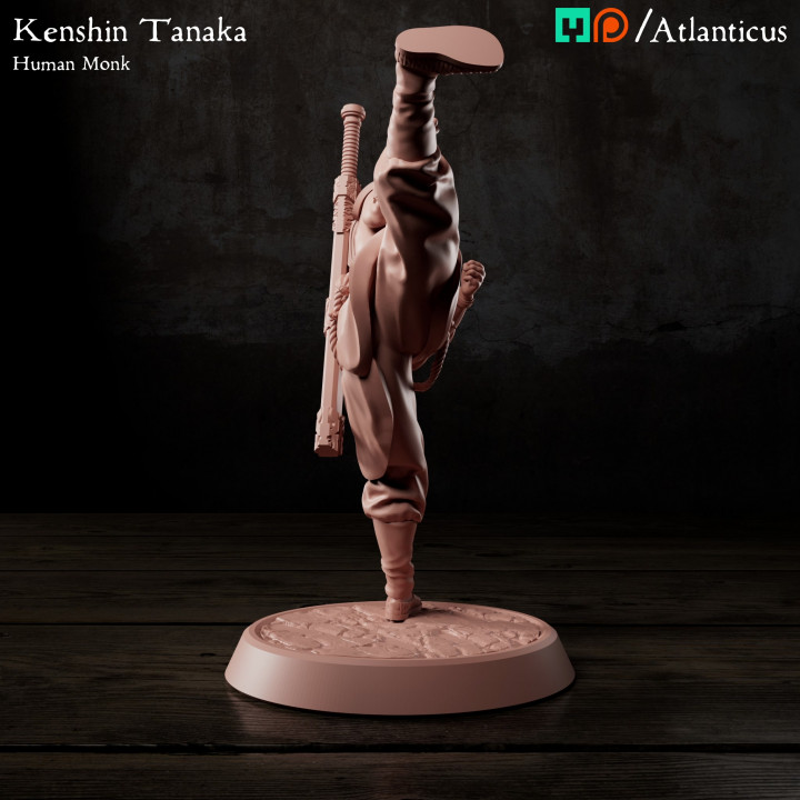 3D Printable Male Human Monk - Kenshin Tanaka - Unarmed Kicking by ...