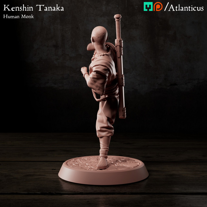 3D Printable Male Human Monk - Kenshin Tanaka - Unarmed Kicking by ...