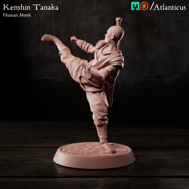 3D Printable Male Human Monk - Kenshin Tanaka - Unarmed Kicking by ...
