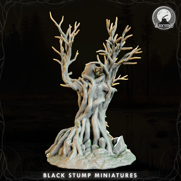 3D Printable Suffering Ash + Bases + 5E Stats! by Black Stump Miniatures