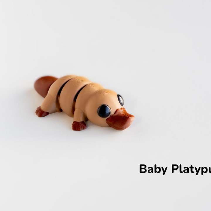 3D Printable Baby Platypus by ZOU3D