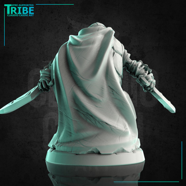 3D Printable (0200) Male Turtle Rogue Thief with two knives and cape by ...