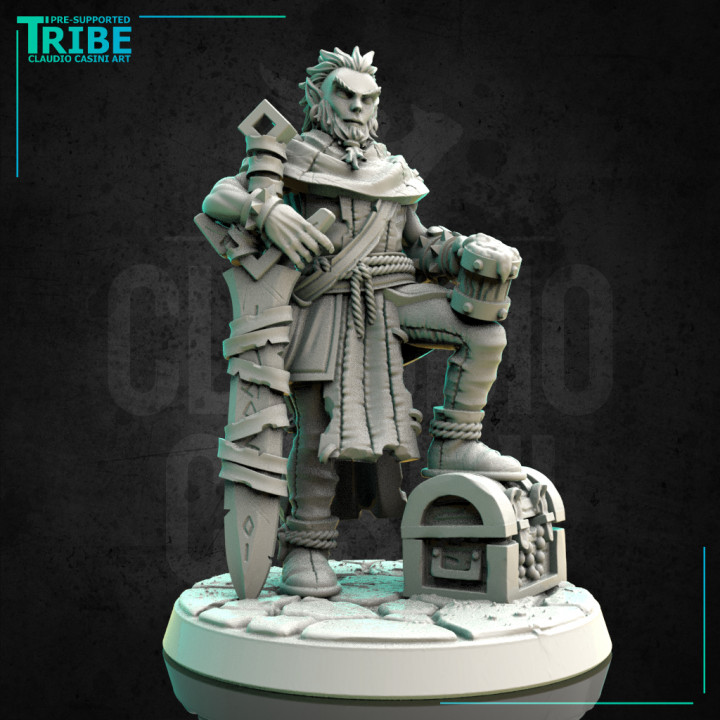 3D Printable (0207) Male human tiefling firbolg half-orc elf brigand ...