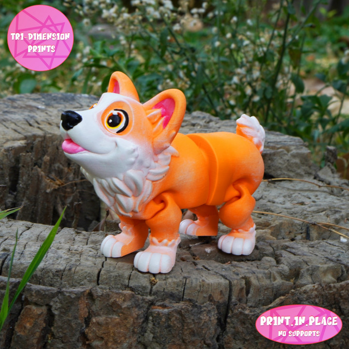 3D Printable PRINT IN PLACE CUTE FLEXI CORGI DOG by TriDimensionPrints