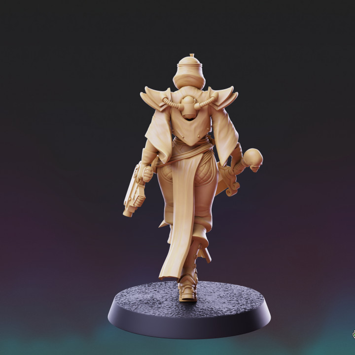 3D Printable Divine Order - Initiate Pose 2 + Pinup by PSMiniatures