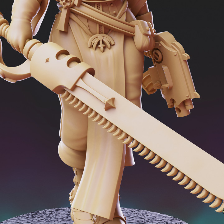 3D Printable Divine Order - Initiate Pose 2 + Pinup by PSMiniatures