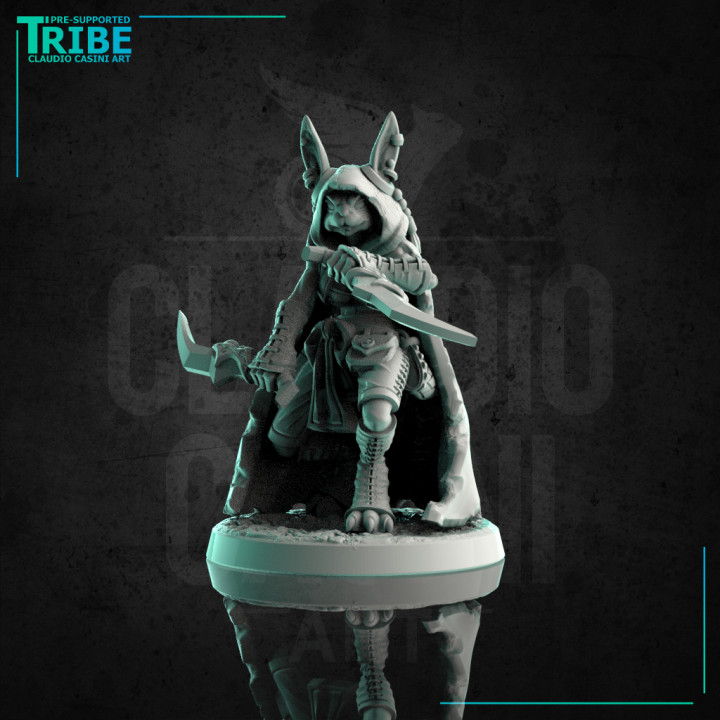 3D Printable (0205) Female rabbitfolk thief rogue with two knives by ...