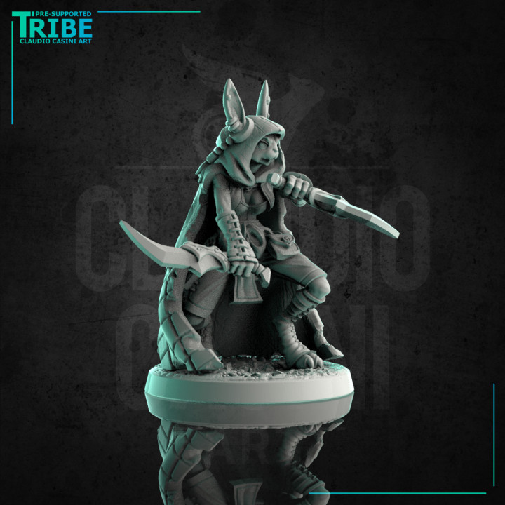 3D Printable (0205) Female rabbitfolk thief rogue with two knives by ...