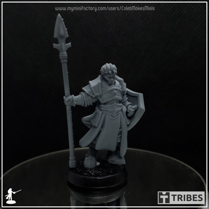 3D Printable Adventuring Party Series [PRE-SUPPORTED] | Complete ...