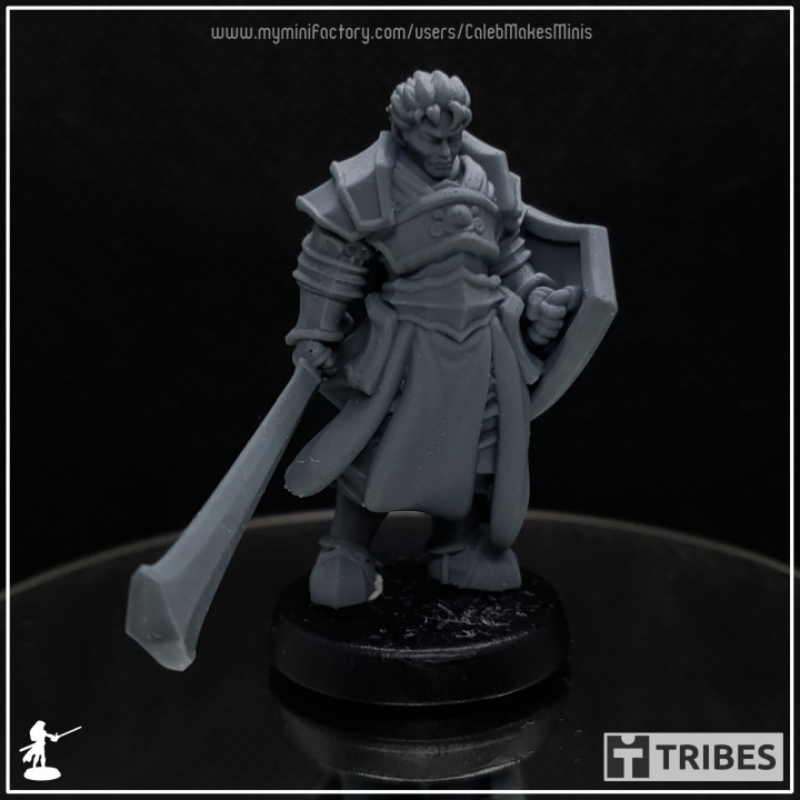 3D Printable Adventuring Party Series [PRE-SUPPORTED] | Complete ...