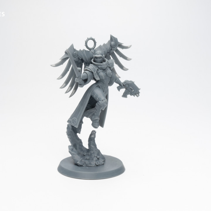 3D Printable Divine Order - Valkyrie - Pose 1 by PSMiniatures