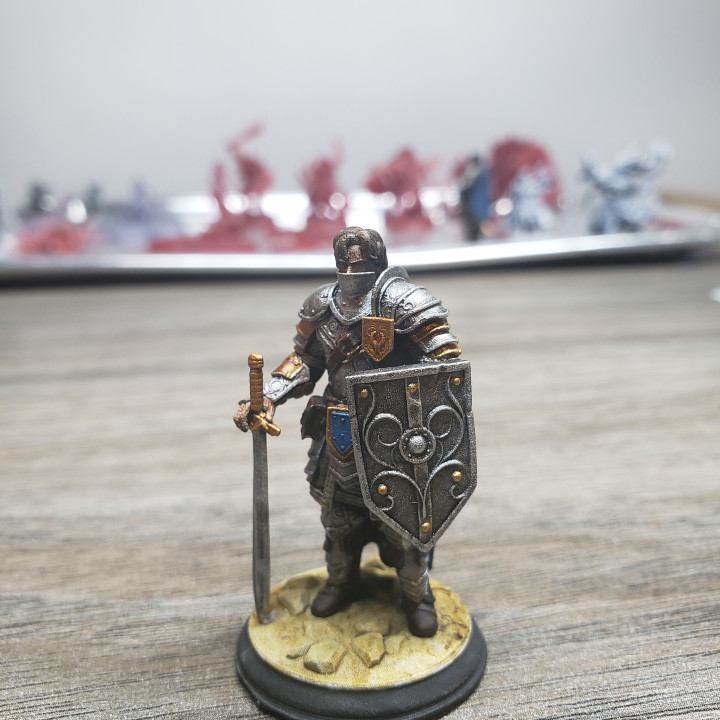 3D Print of Human Battle Master Fighter - Arion Midrun by whatwecee