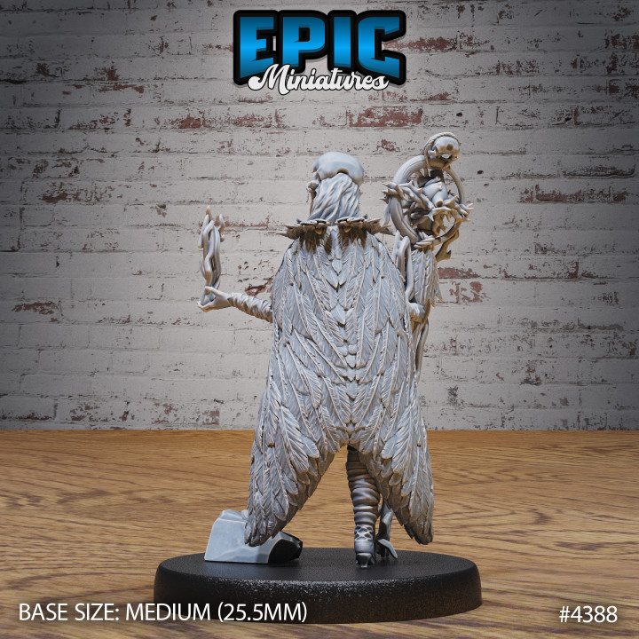 3D Printable Raven Wizard Female Set / Bird Folk Warrior / Crow Warg ...