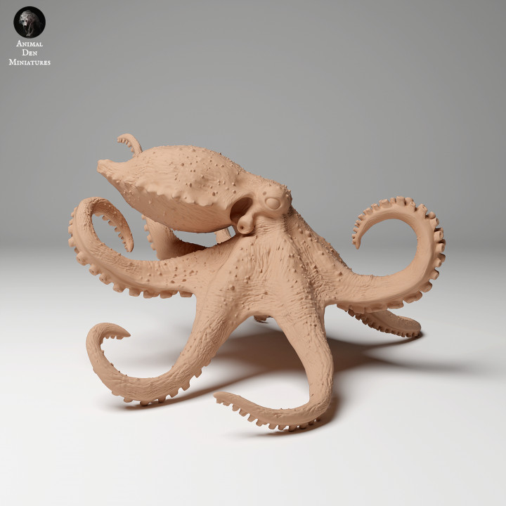 3D Printable Greater Blue-Ringed Octopus Swim by Animal Den Miniatures