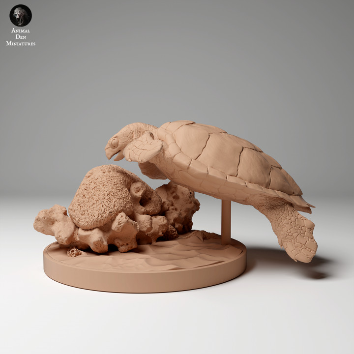 3D Printable Hawksbill Sea Turtle Feed by Animal Den Miniatures