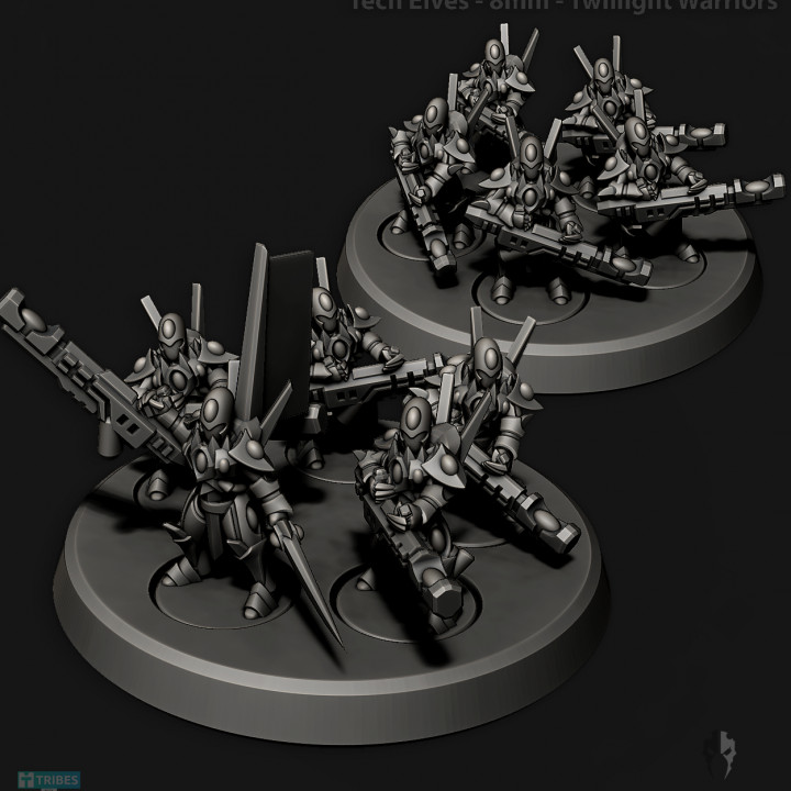 3D Printable Tech Elves - Twillight Warriors - 8mm by Edge Miniatures